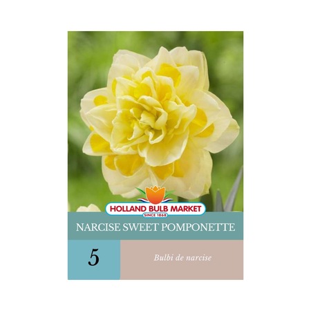 Bulbi de narcise Sweet Pomponette, 5 bulbi - eMAG.ro