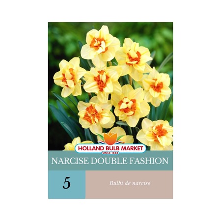 Bulbi de narcise Double Fashion, 5 bulbi - eMAG.ro