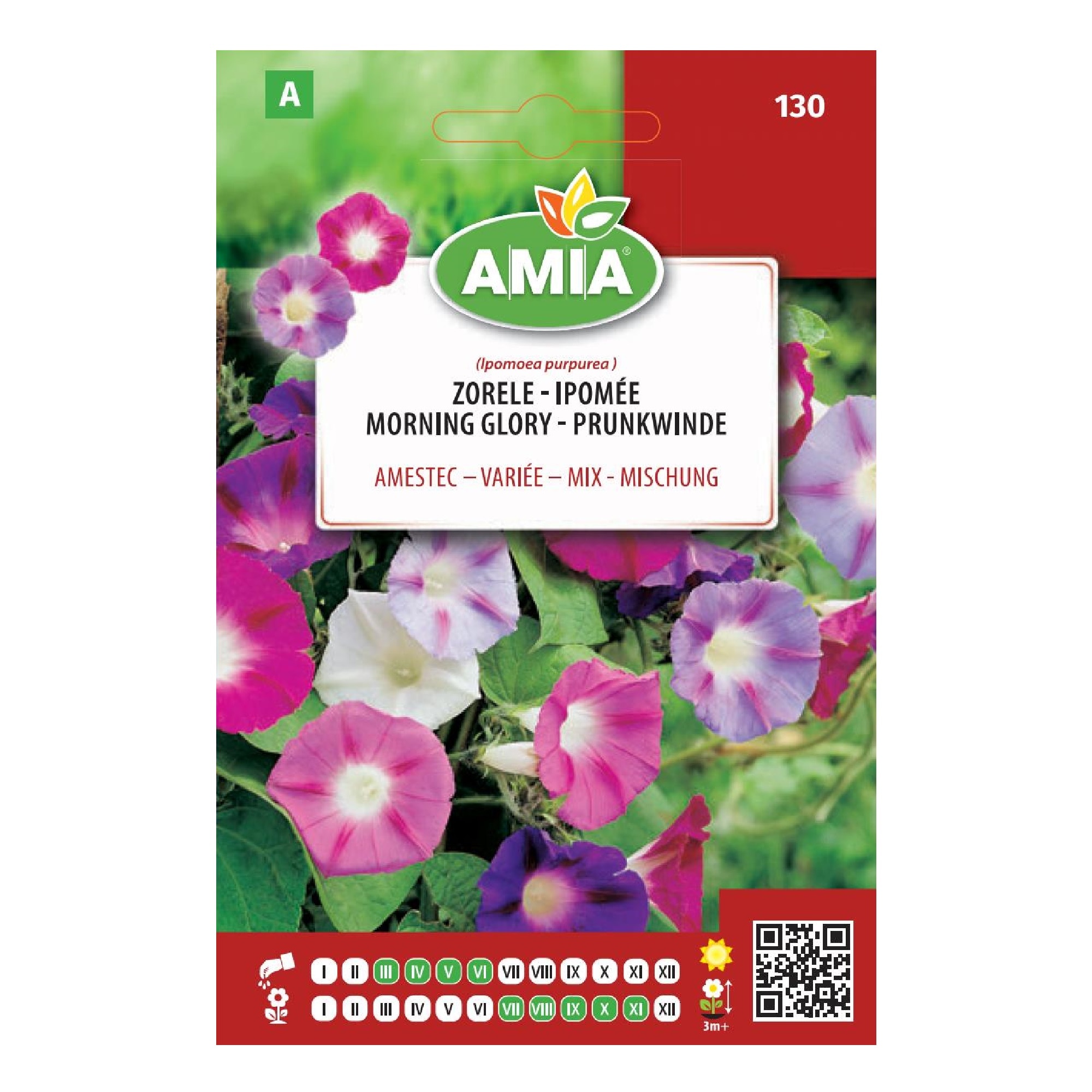 Seminte de Zorele Morning Glory, culori amestecate, 3 gr, AMIA - eMAG.ro