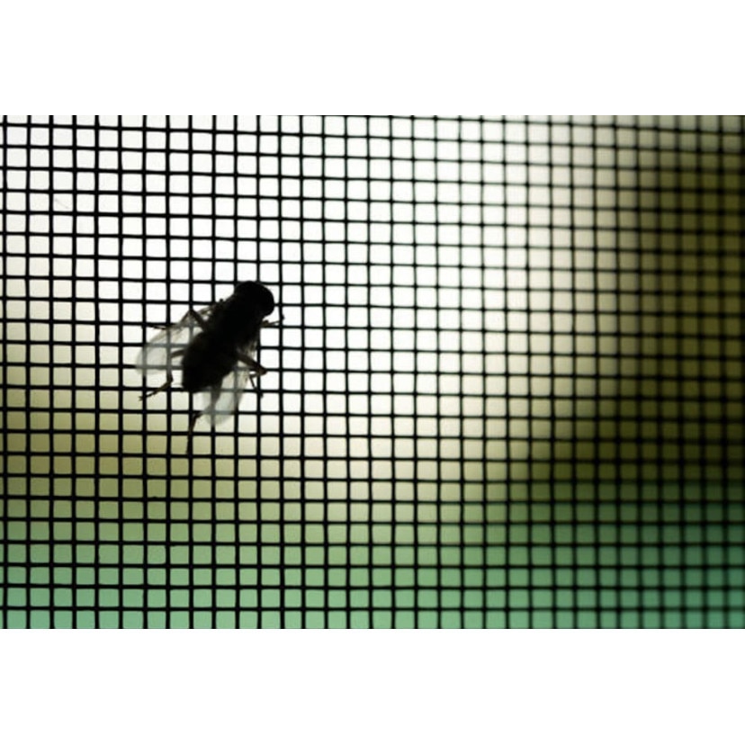 Plasa insecte/tantari, 80 cm latime - eMAG.ro