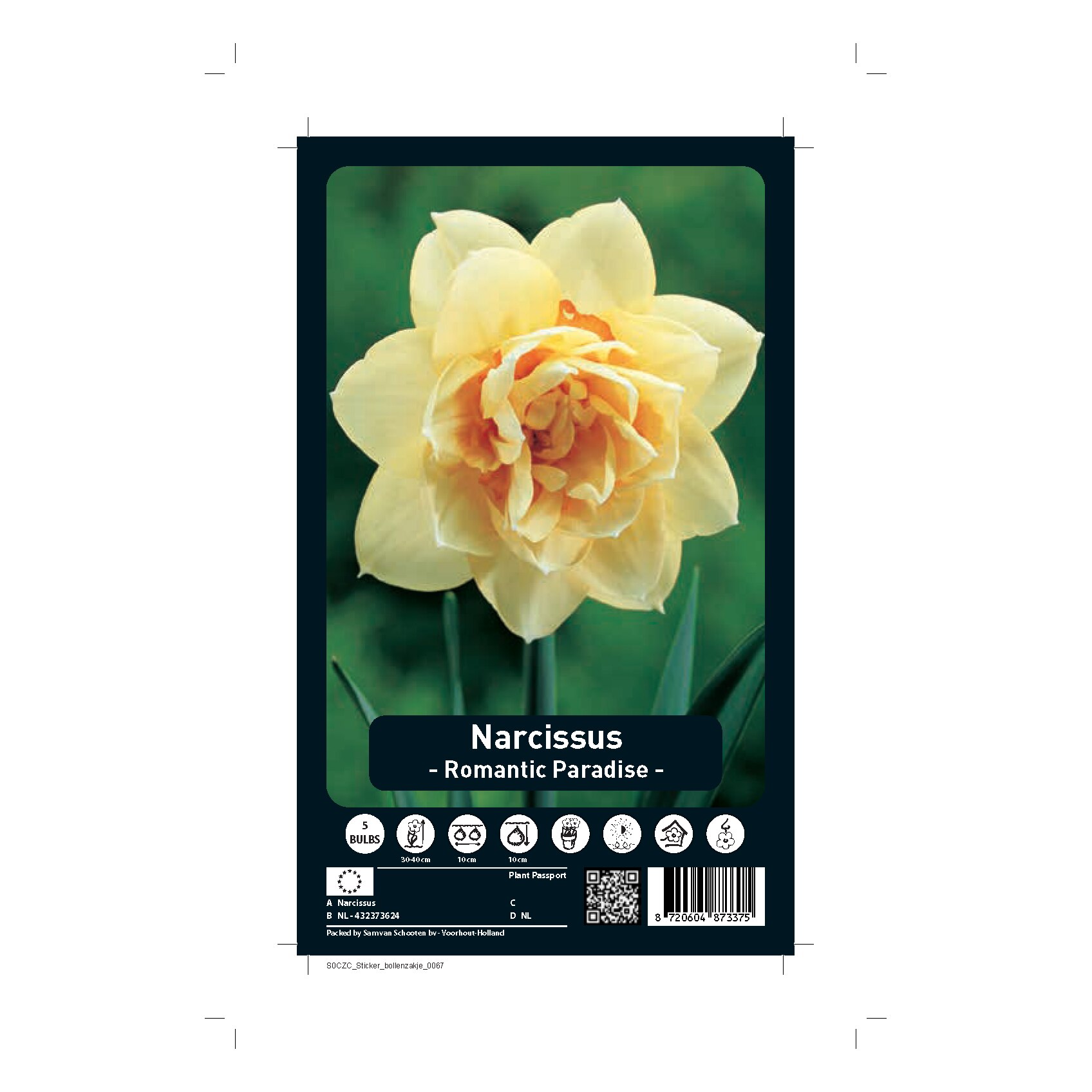 Bulbi Narcise Romantic Paradise, 5buc, 14/16 - eMAG.ro