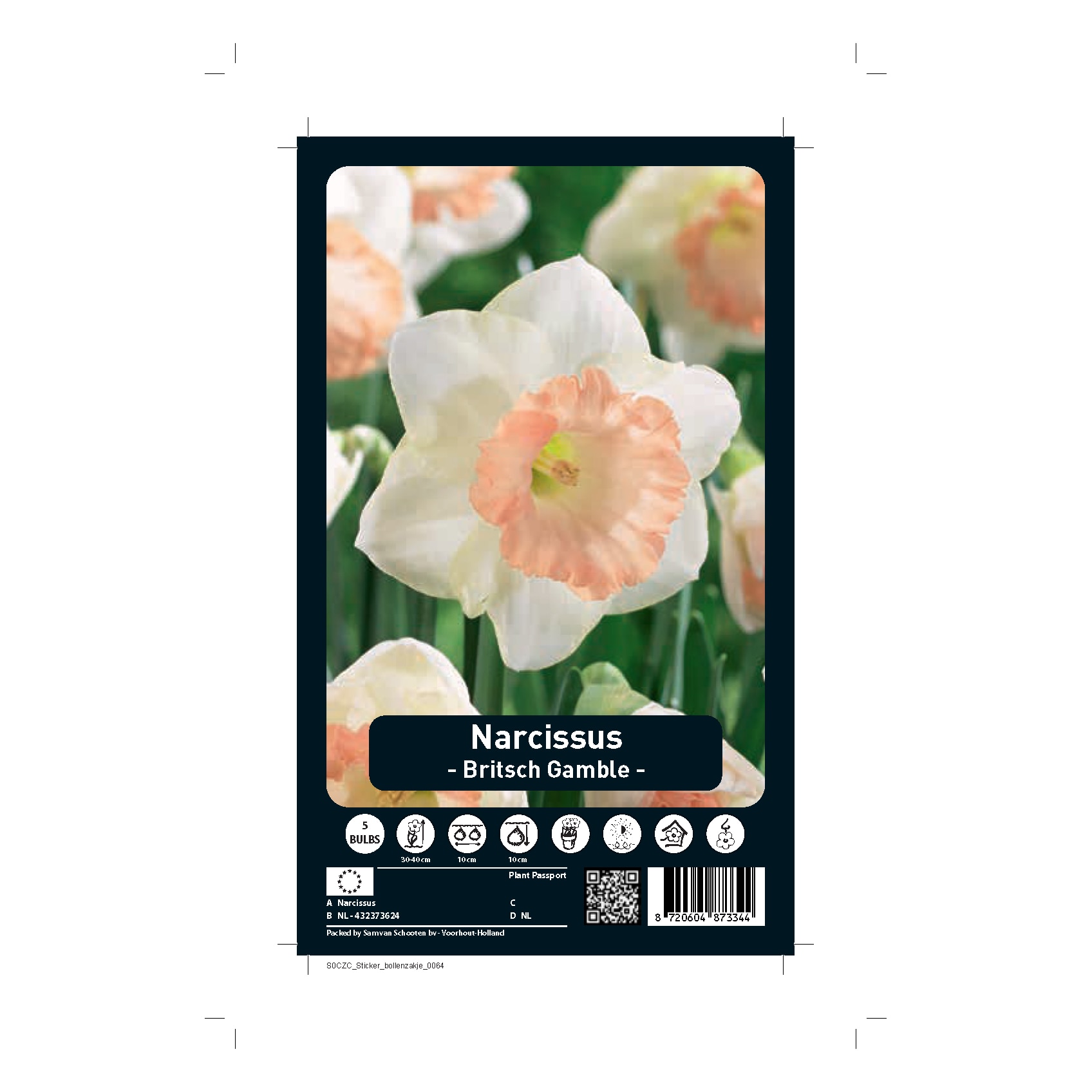 Bulbi Narcise British Gamble, 5buc, 14/16 - eMAG.ro