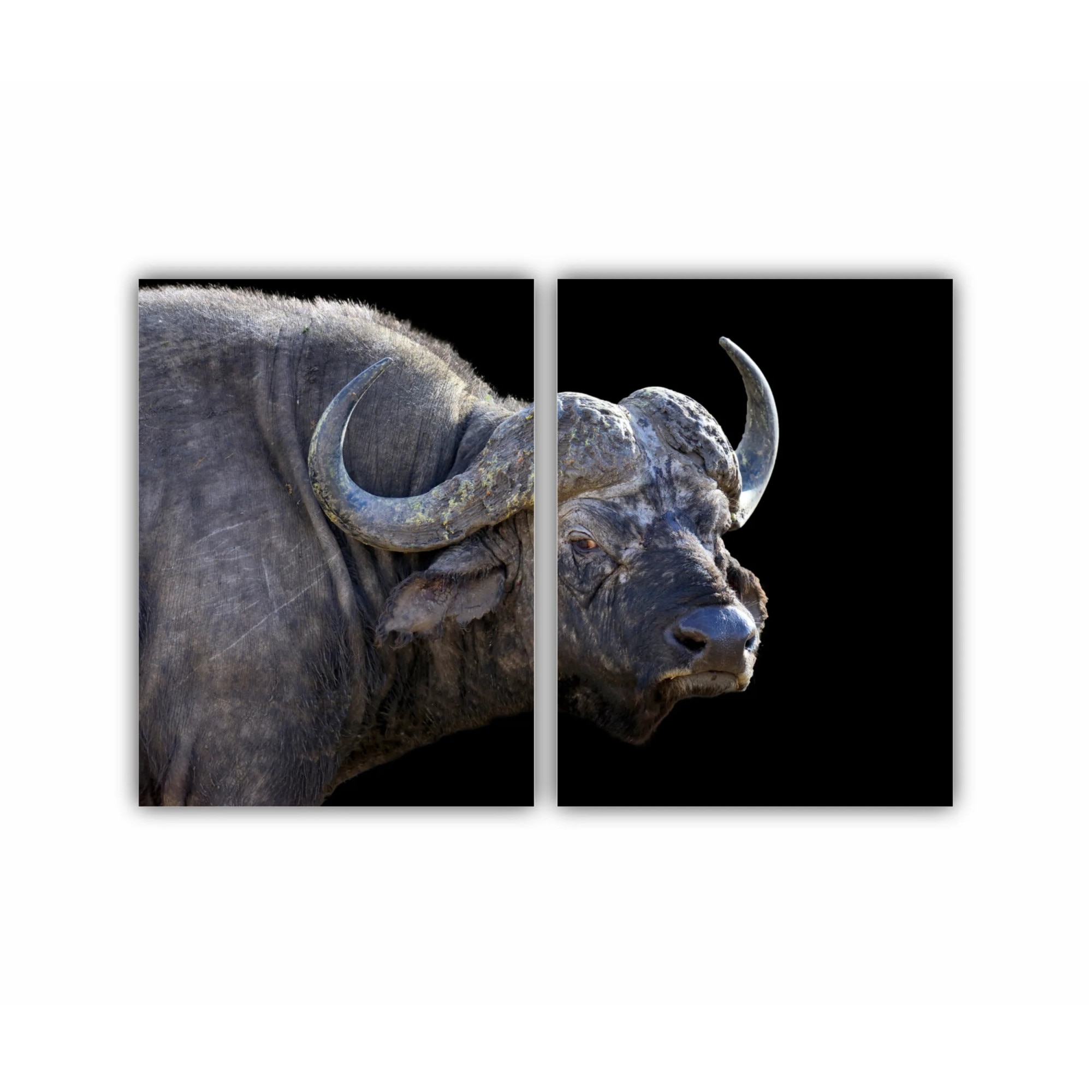 Set 2 Tablouri Multicanvas, Bivol african salbatic 0843, Tipar UV pe ...