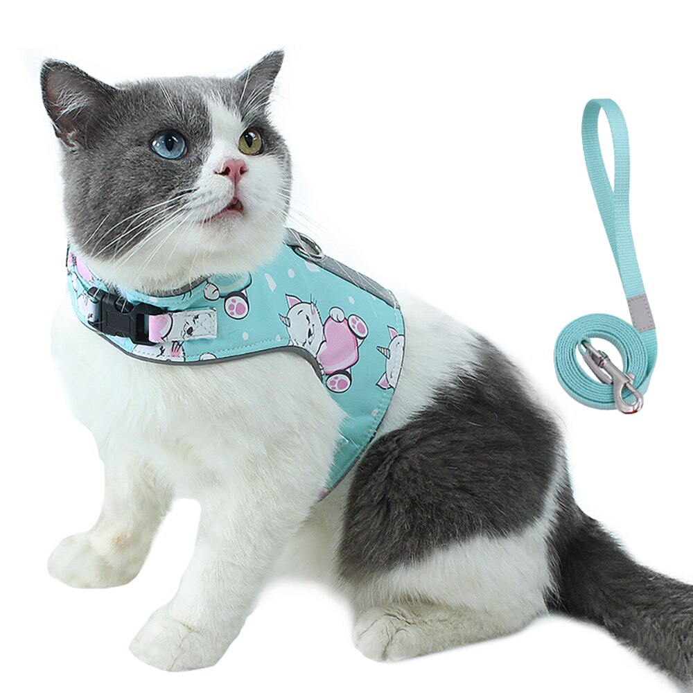 Set Ham si lesa pentru pisici, L, Addachic, Bleu - eMAG.ro