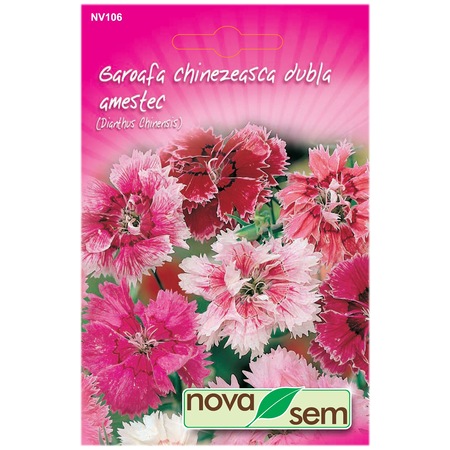 Seminte Novasem, Garoafe Chinezeasca, Amestec culori, 0.5 g - eMAG.ro