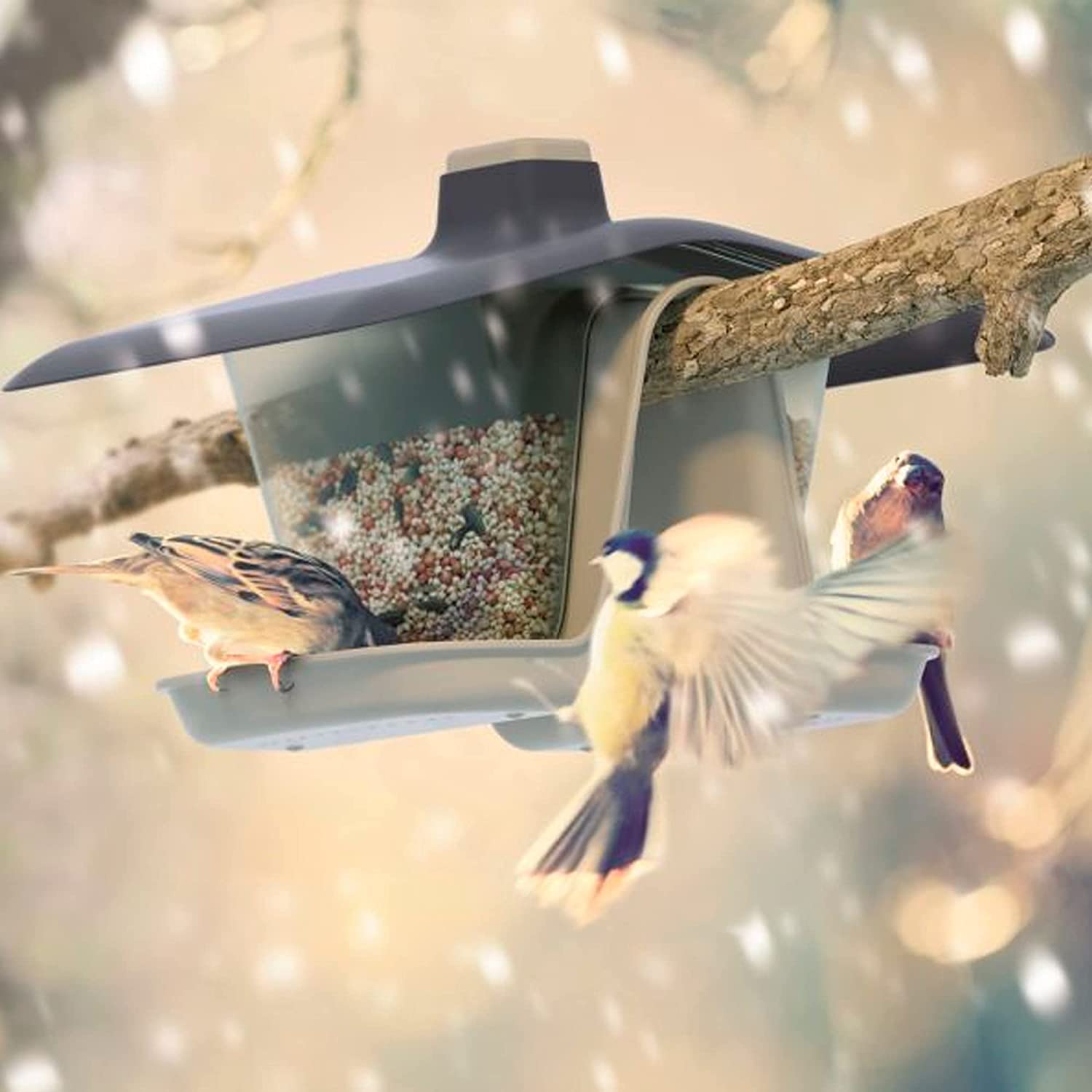 Hranitoare pasari, Kotarbau, Plastic, 220x173 mm, Gri inchis - eMAG.ro