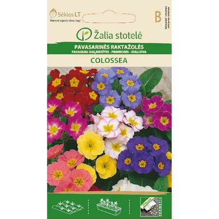 Seminte, Primule Colossea, Žalia Stotelė, plic, 50 seminte - eMAG.ro
