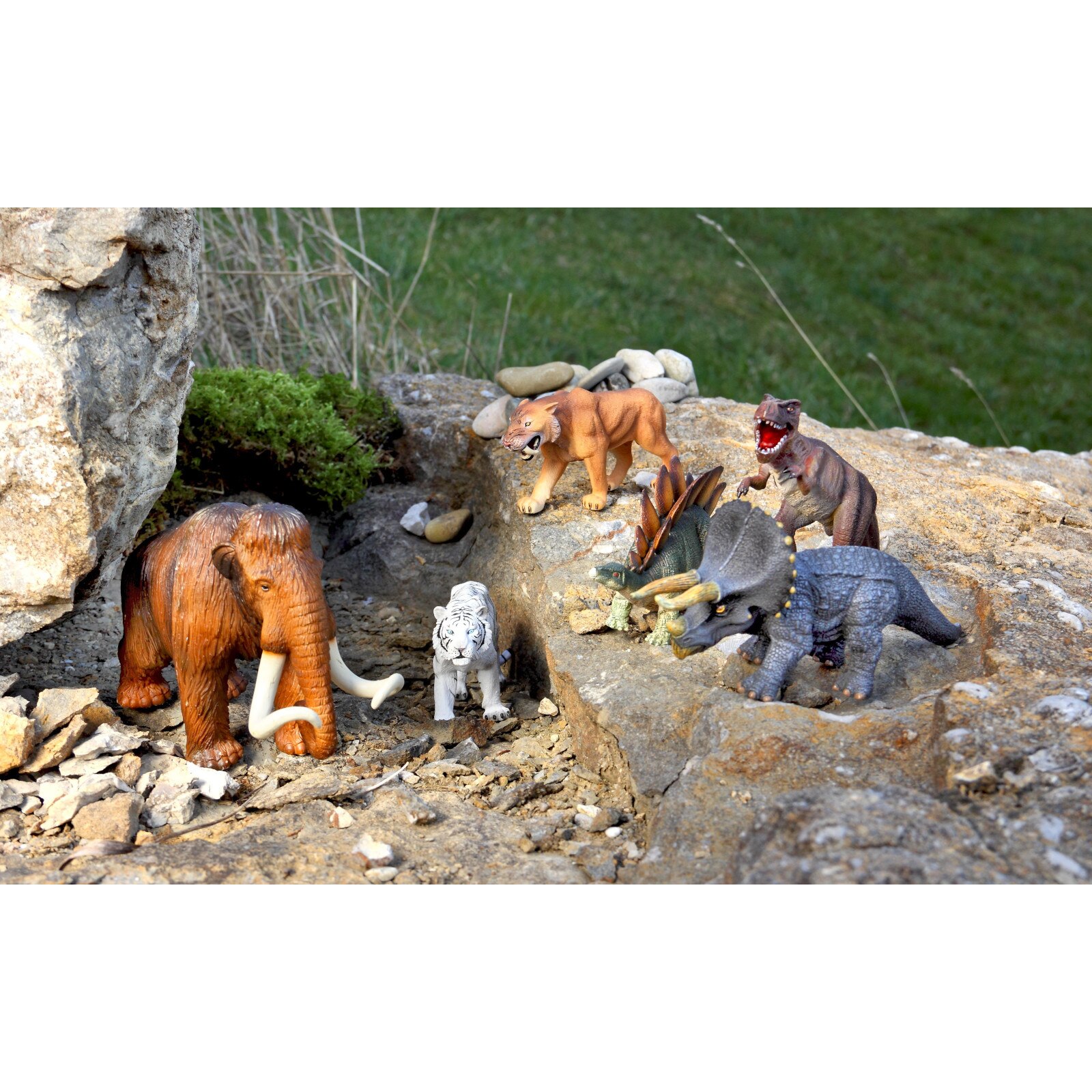 Set de 26 animele din padure, domestice, salbatice si preistorice - eMAG.ro