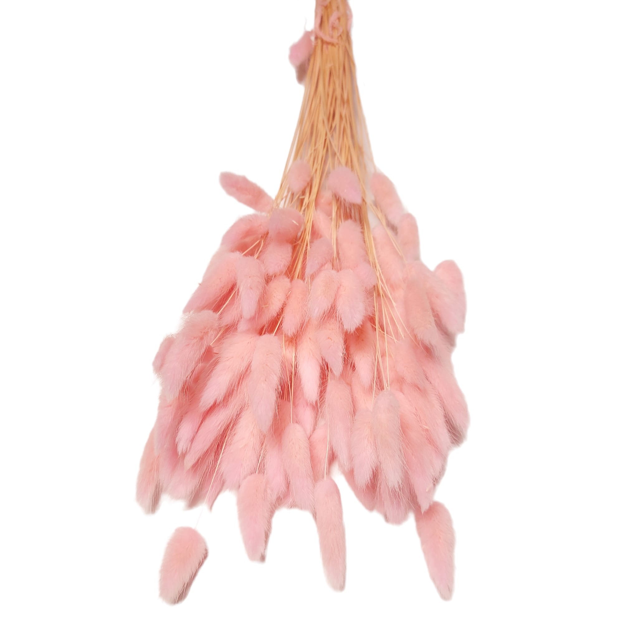 Lagurus roz deschis premium, 50 grame, 70 cm - eMAG.ro