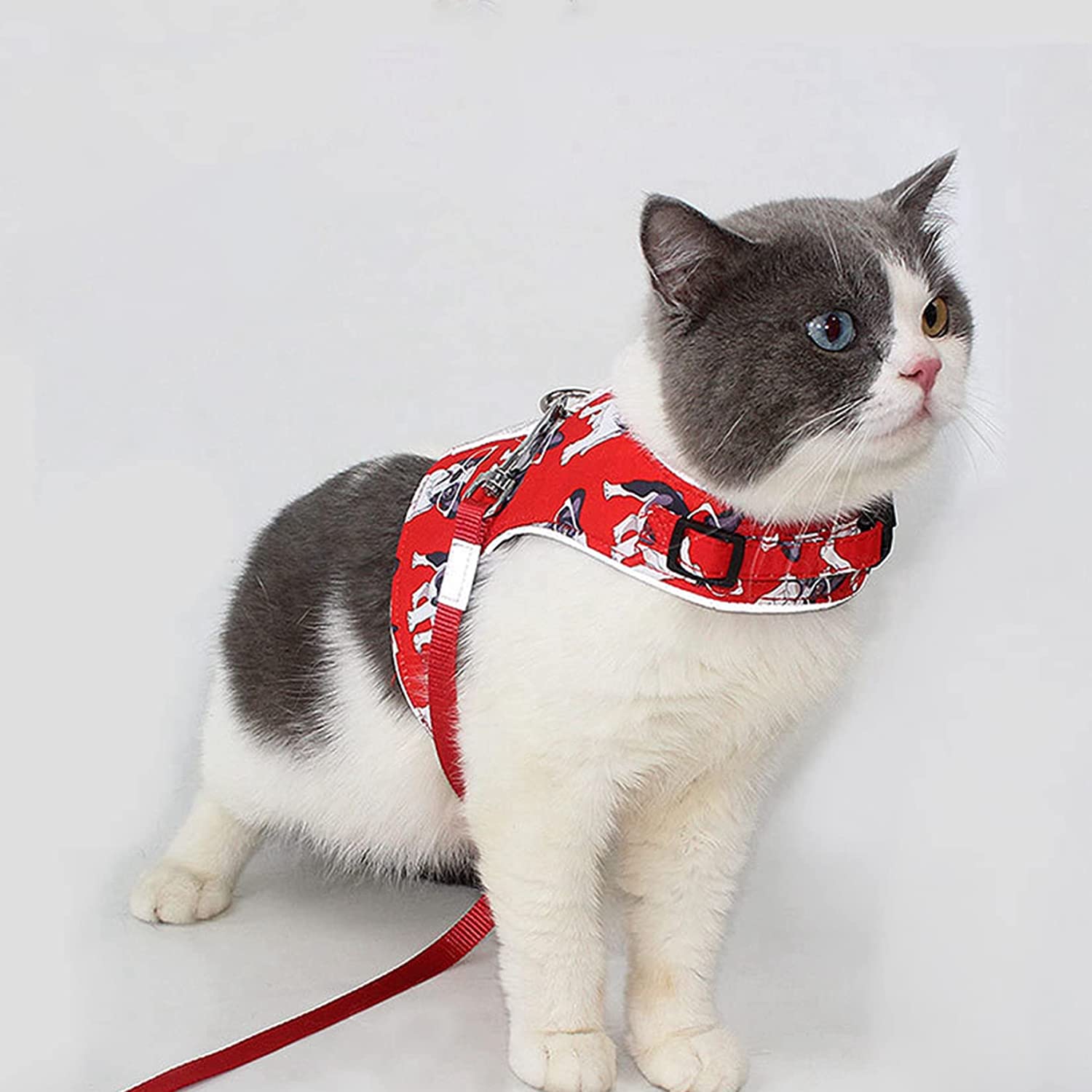 Set Ham si lesa pentru pisici, L, Addachic, Rosu - eMAG.ro