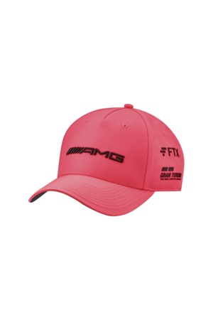 Sapca Mercedes AMG Petronas Formula One Team, Lewis Hamilton, Monza ...