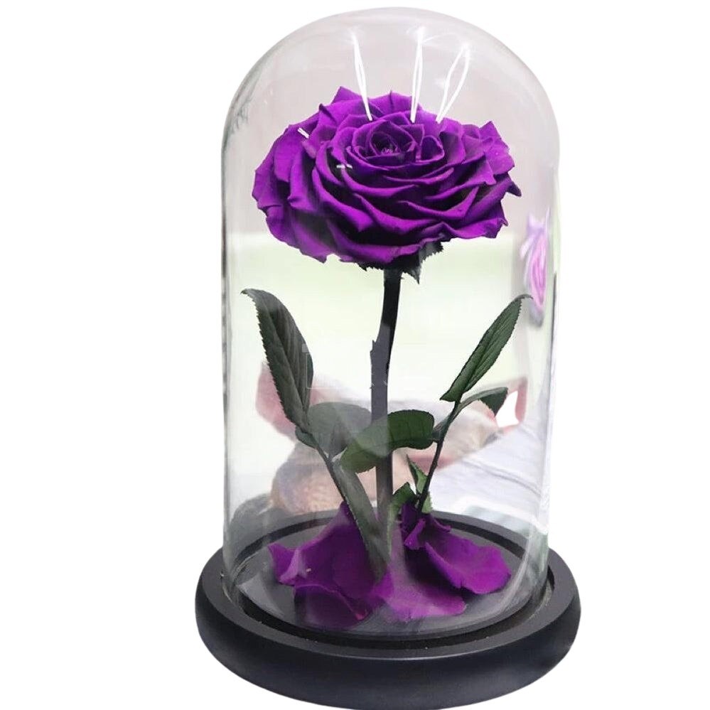 Trandafir criogenat purpuriu bonita, Ø9,5cm in cupola 15x25cm - eMAG.ro
