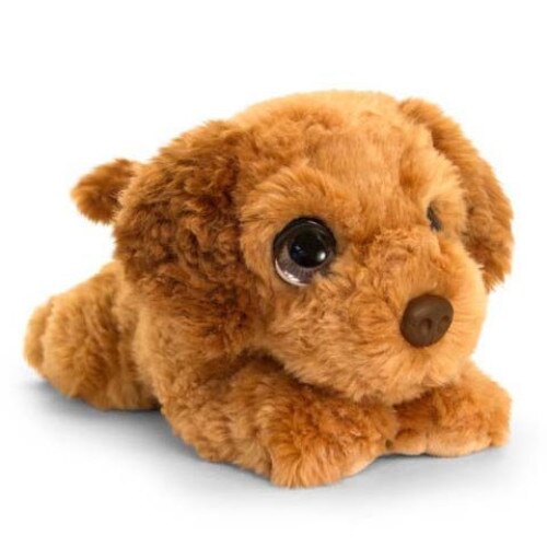 Catel de plus Cockapoo 32 cm - eMAG.ro