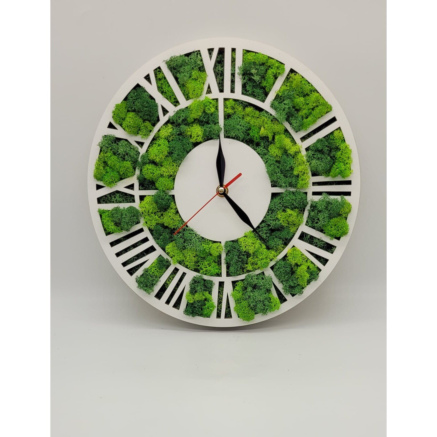 Ceas alb cu licheni verzi 30cm, Crioflora - eMAG.ro