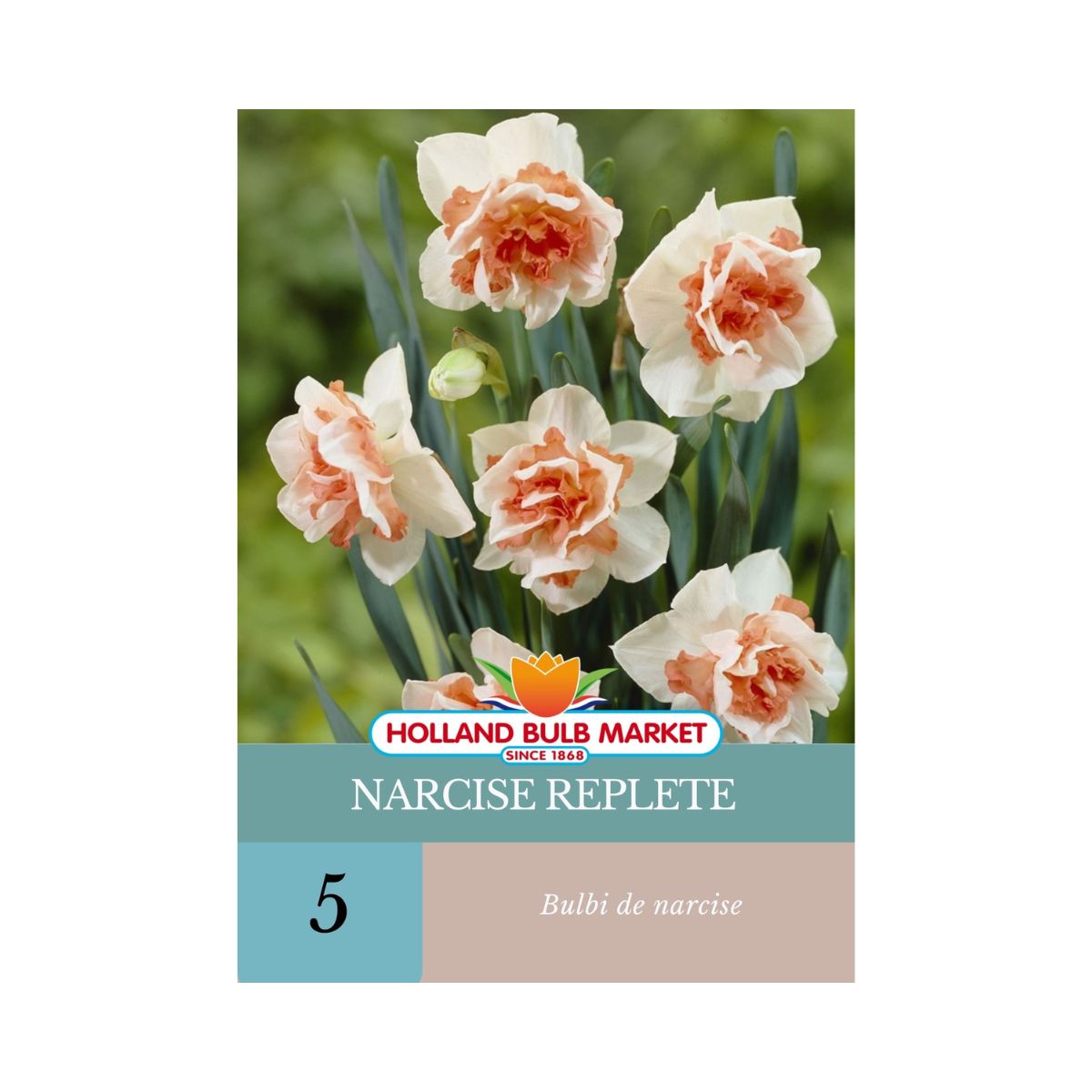 Bulbi de narcise Replete, 5 bucati - eMAG.ro