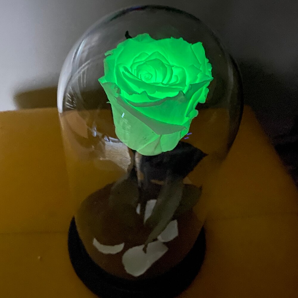 Trandafir criogenat fosforescent verde, Ø6,5cm, in cupola sticla ...