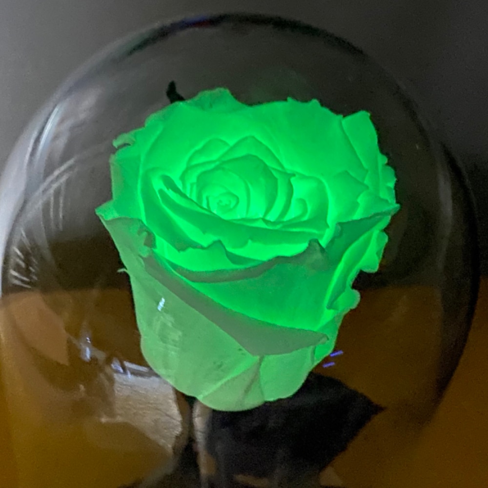 Trandafir criogenat fosforescent verde, Ø6,5cm, in cupola sticla ...