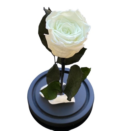 Trandafir criogenat fosforescent verde, Ø6,5cm, in cupola sticla ...