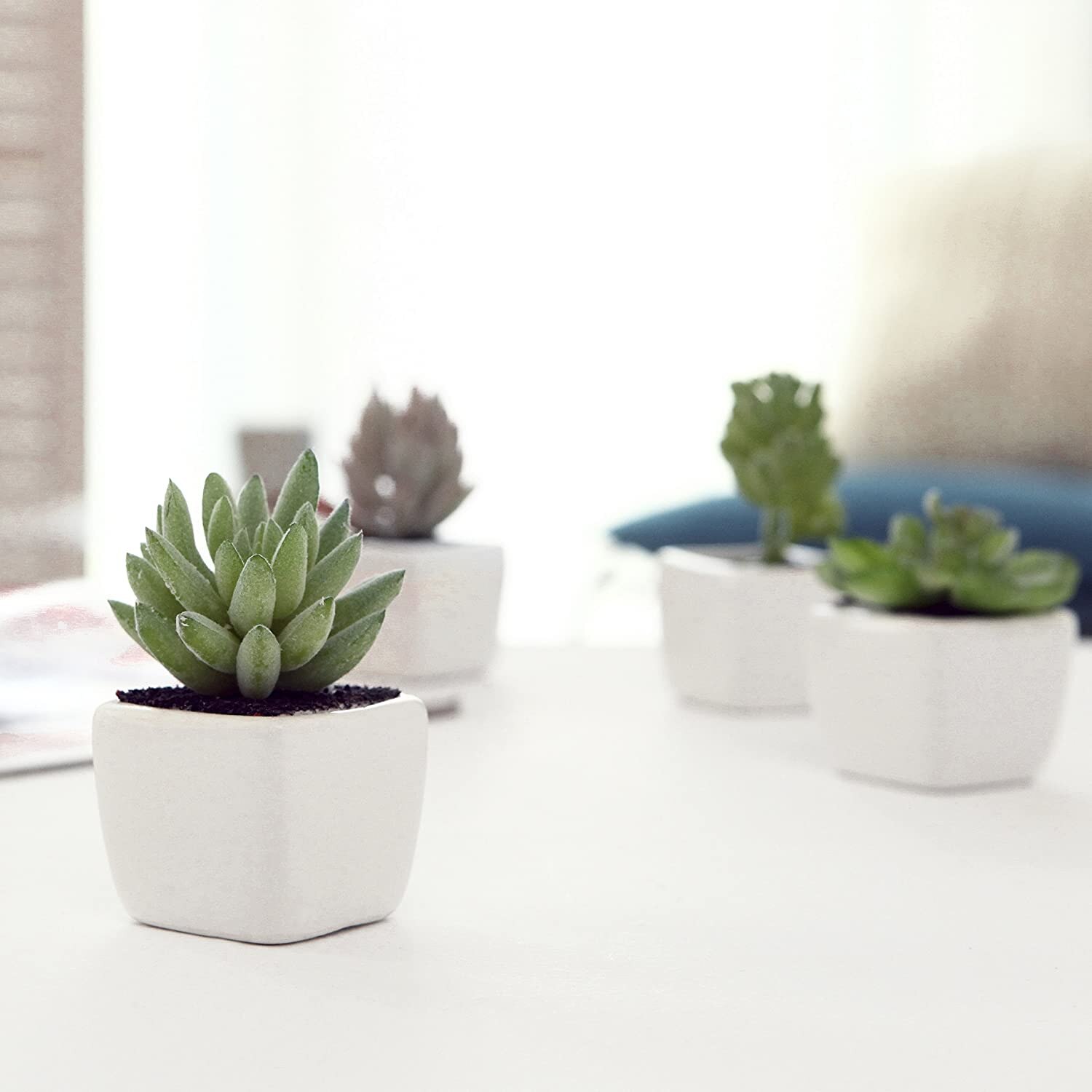 Set 4 Plante Artificiale in Ghivece din Ceramica in Forma de Cub Alb ...