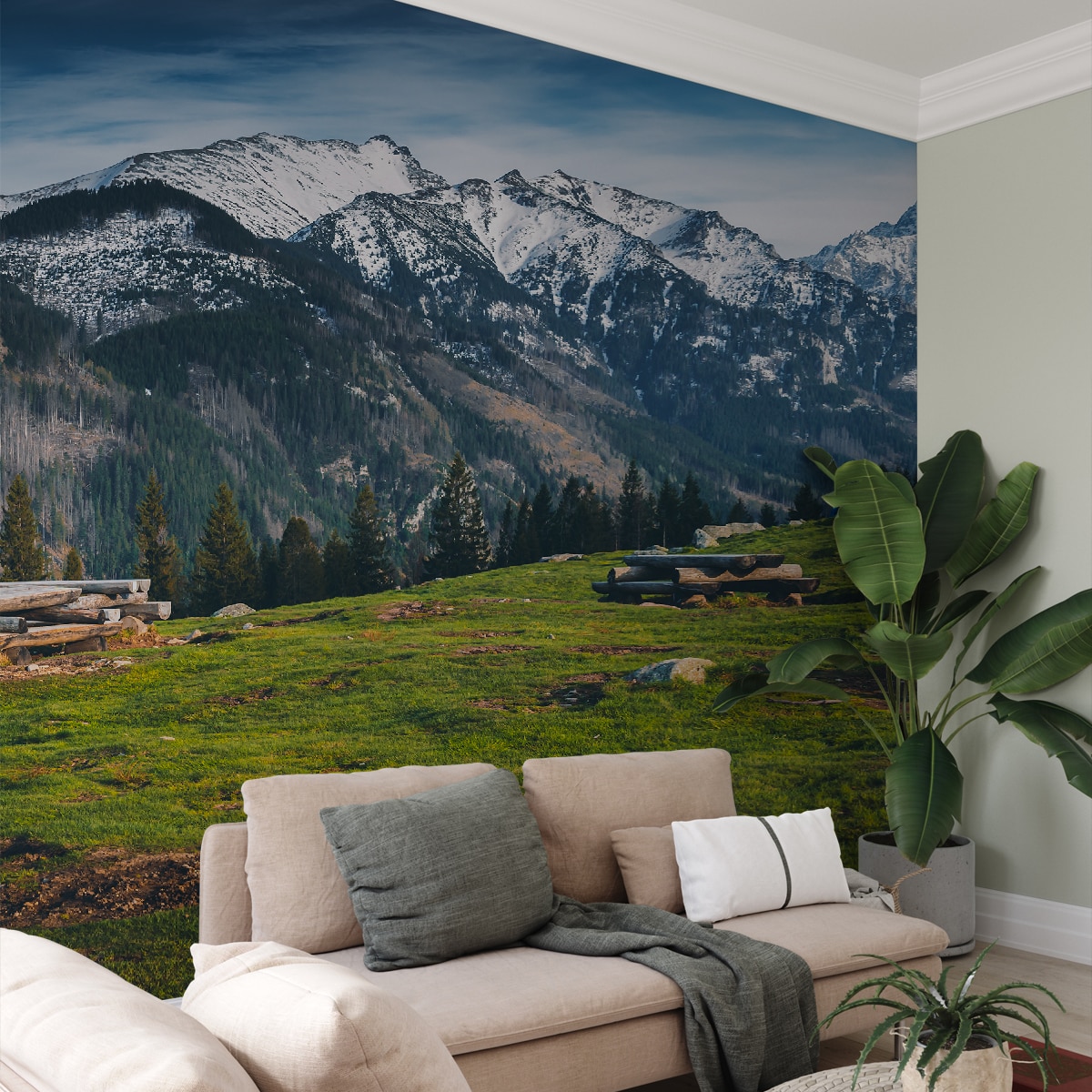 Fototapet Peisaj Muntii Tatra Poiana Cer 3D 180 x 120 cm Vlies, Modern ...