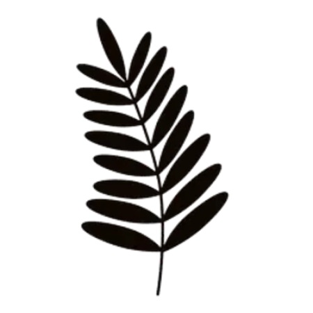 Sticker decorativ, Frunza, negru, 24 bucati, 10x10 cm - eMAG.ro