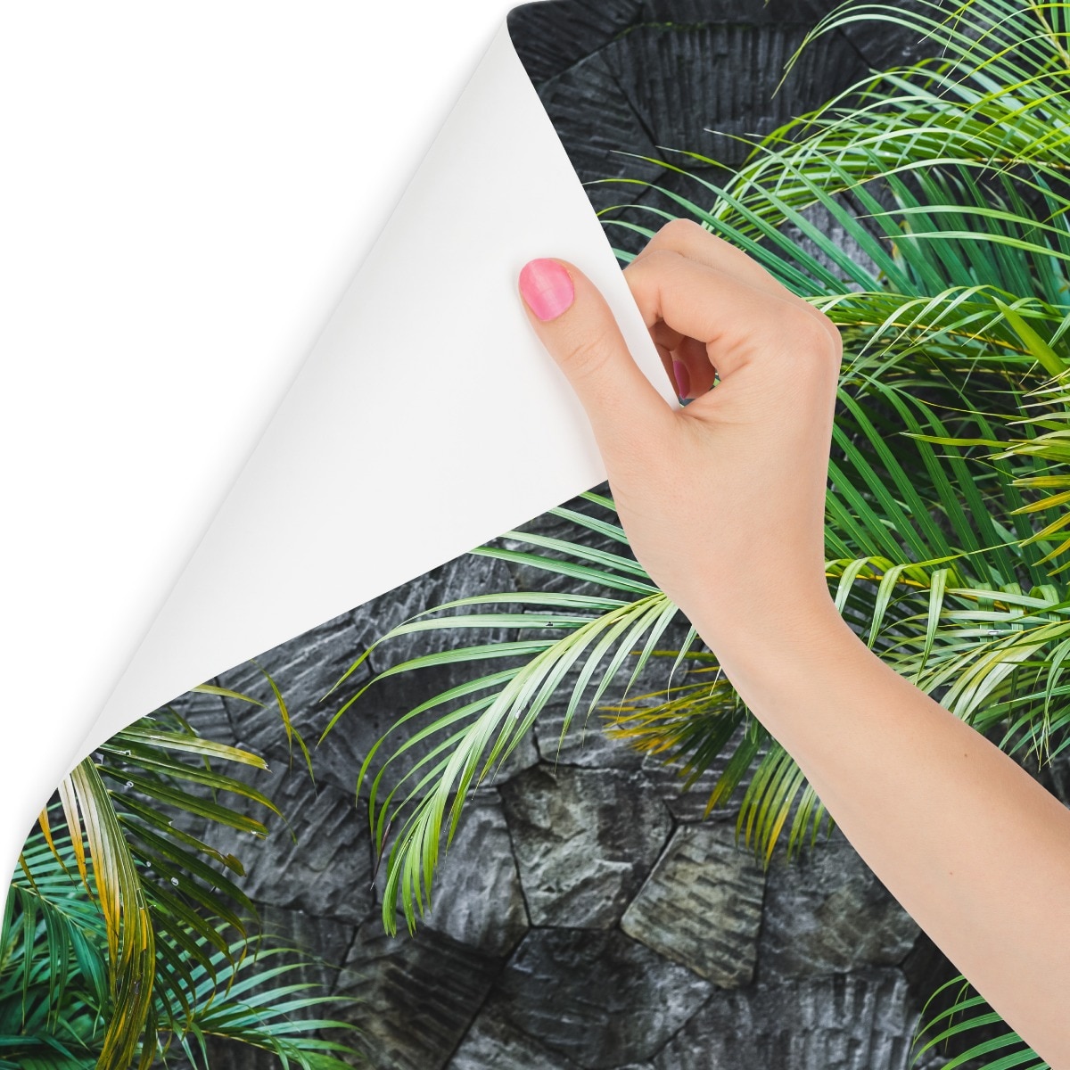 Fototapet Frunze Exotice Zid Beton Decoratie 360 x 240 cm Modern vlies ...