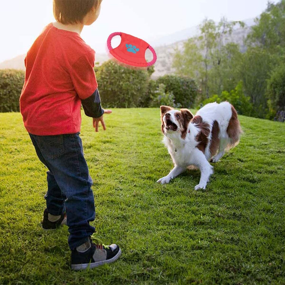 Set Jucarii pentru Caini Interactive, 10 Piese, Multicolor - eMAG.ro