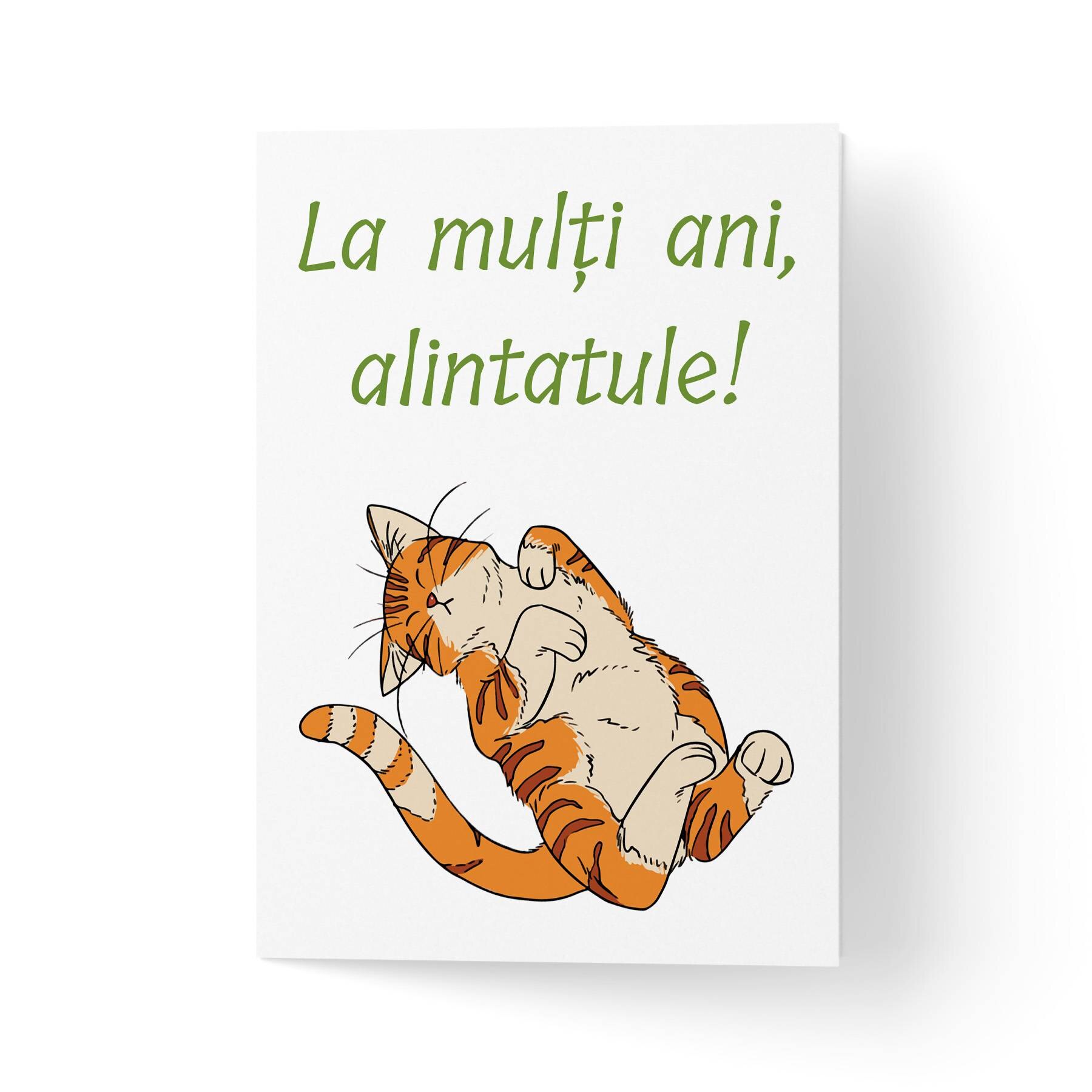 100 рециклирана поздравителна картичка с плик висококачествена текстурирана хартия Alintat