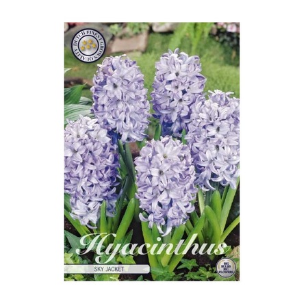 Bulbi Zambile Sky Jacket, 5 bulbi - eMAG.ro