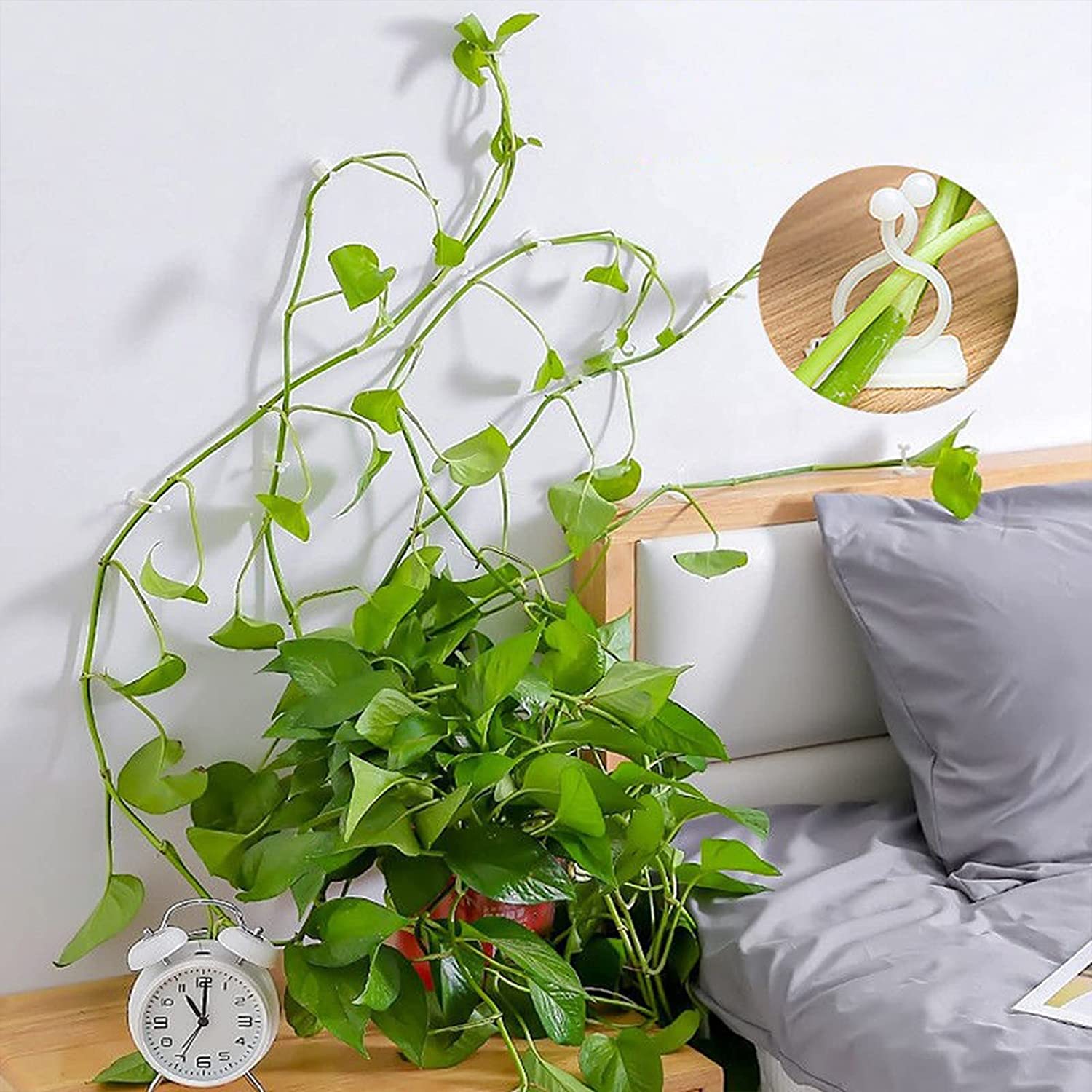 Set 30 Cleme cu adeziv pentru fixat plante de perete, PVC, alb ...