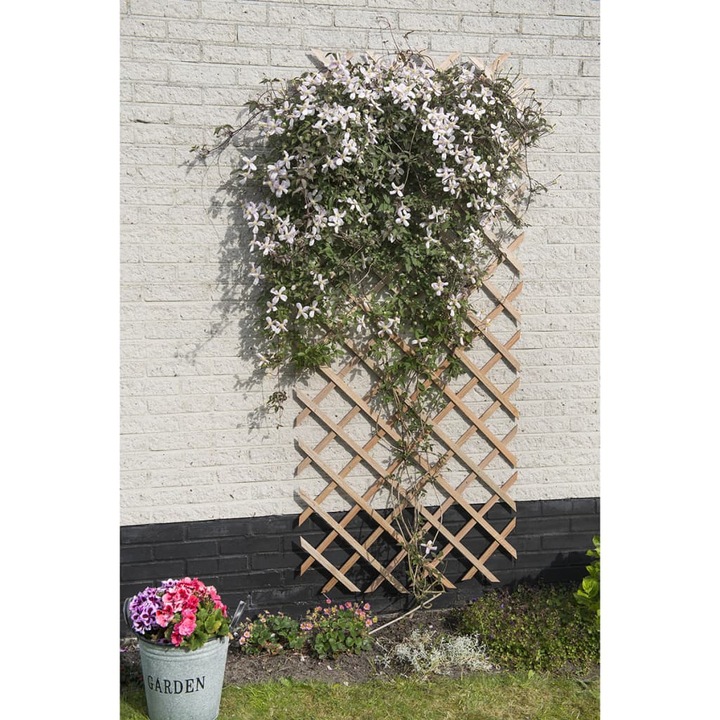 Spalier de gradina, Nature, Trellis, Plastic, 50 x 150 cm, Maro - eMAG.ro
