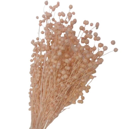 IN roz deschis premium, 50 grame - eMAG.ro