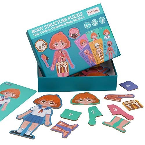 Puzzle din lemn, Invat si Descopar Structura Corpului Uman, 35 piese ...
