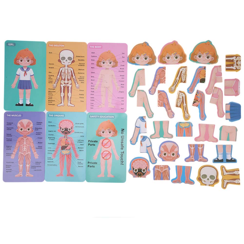 Puzzle din lemn, Invat si Descopar Structura Corpului Uman, 35 piese ...