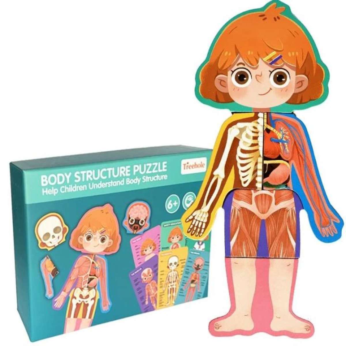 Puzzle din lemn, Invat si Descopar Structura Corpului Uman, 35 piese ...