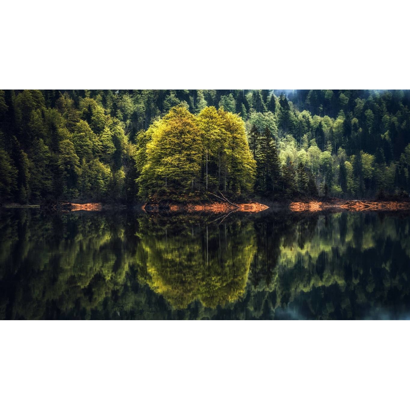 Sticker perete - Peisaje cu Paduri si Copaci 179, 75x115 cm - eMAG.ro