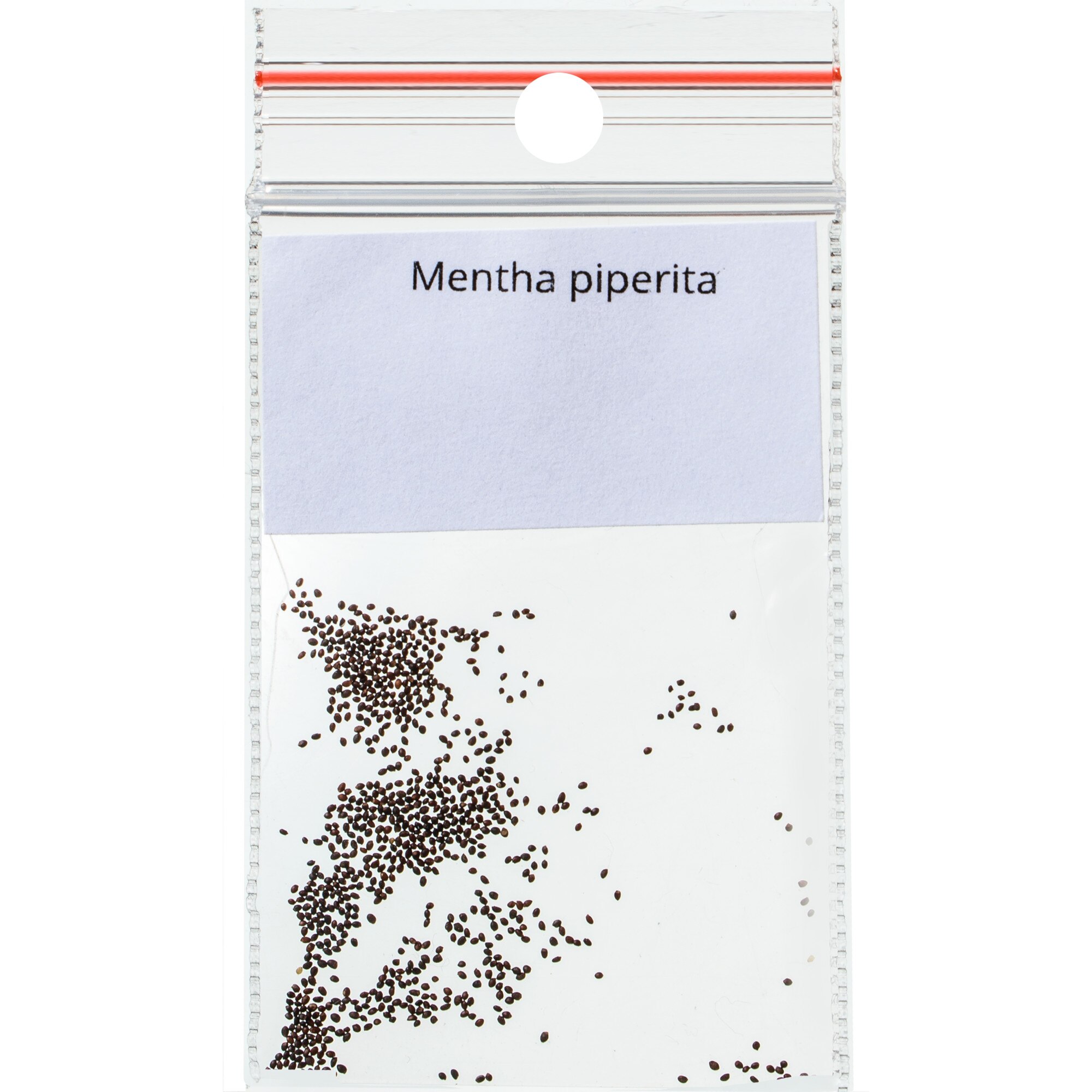 Seminte pentru plantat Etno-Garden, Menta - eMAG.ro