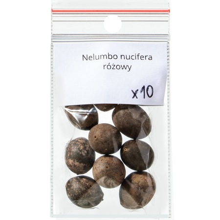 Seminte pentru plantat Ethno-Garden, Lotus Roz - eMAG.ro