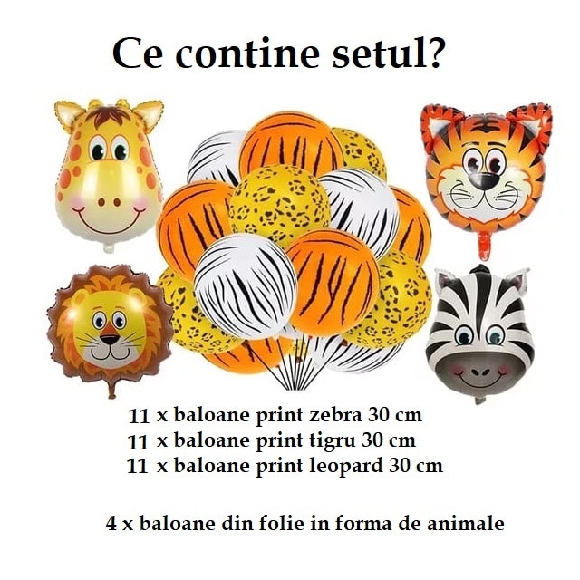 Set baloane si decoratiuni petrecere aniversare pentru copii in tema ...