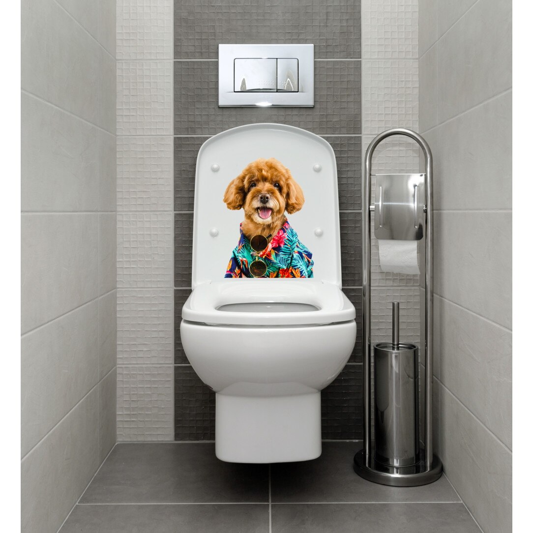 Sticker decorativ pentru perete Catel Pudel 3d, 19x25 cm - eMAG.ro