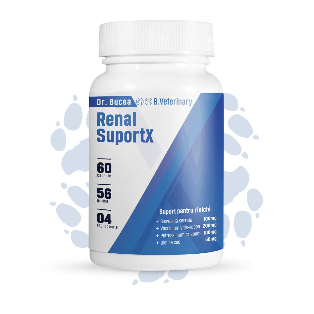 Renal SuportX - suport profilactico-terapeutic in combaterea bolilor ...