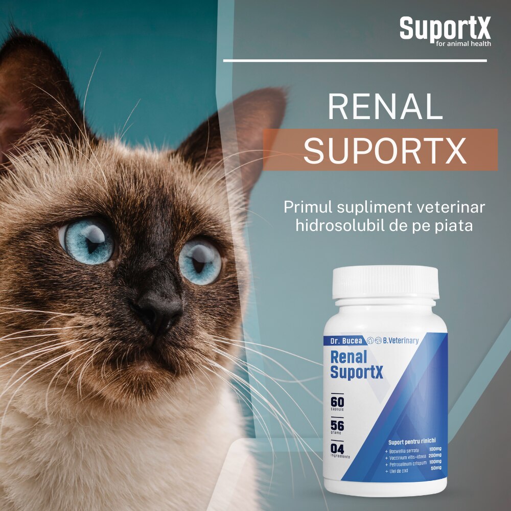 Renal SuportX - suport profilactico-terapeutic in combaterea bolilor ...