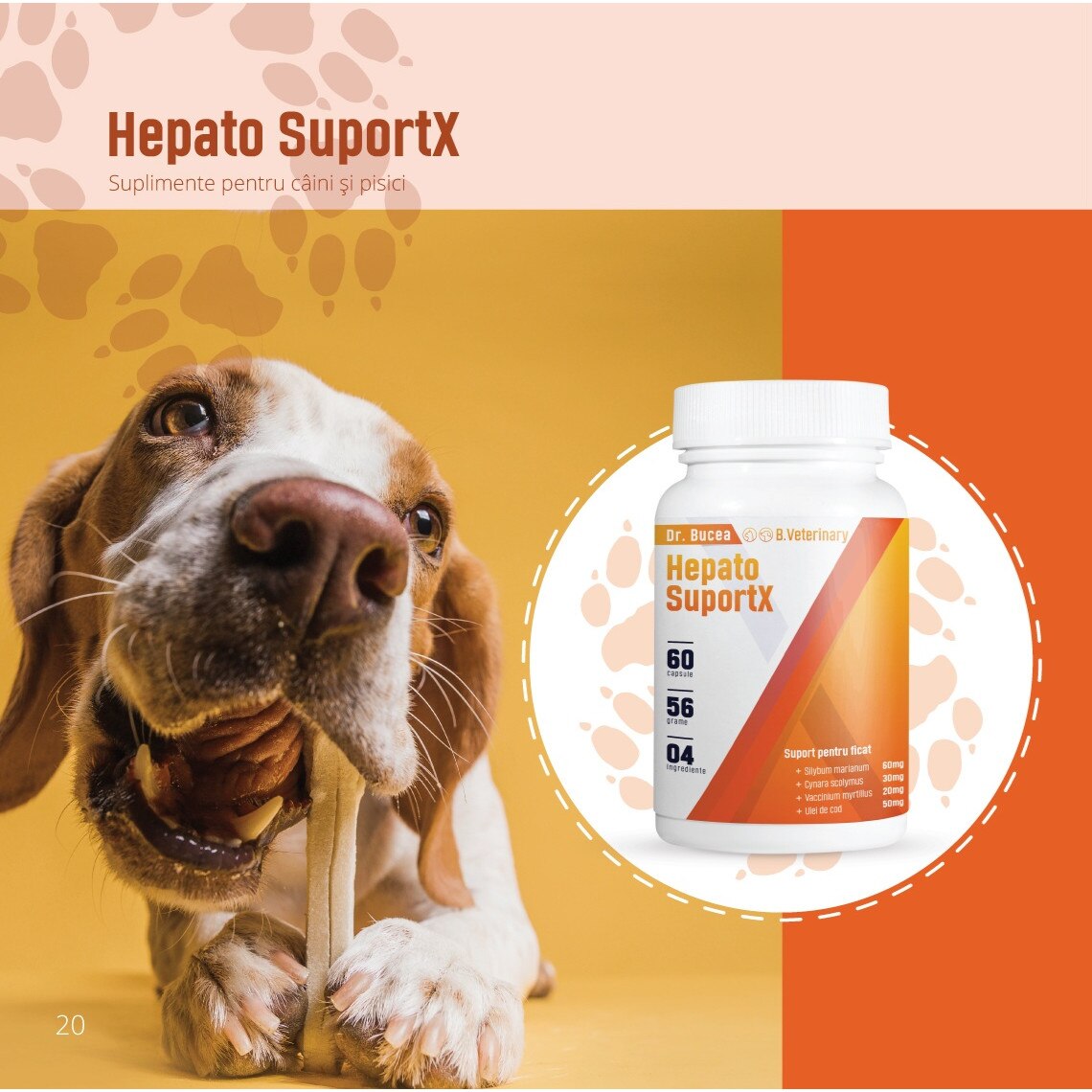 Hepato SuportX - suport profilactic si terapeutic in combaterea ...