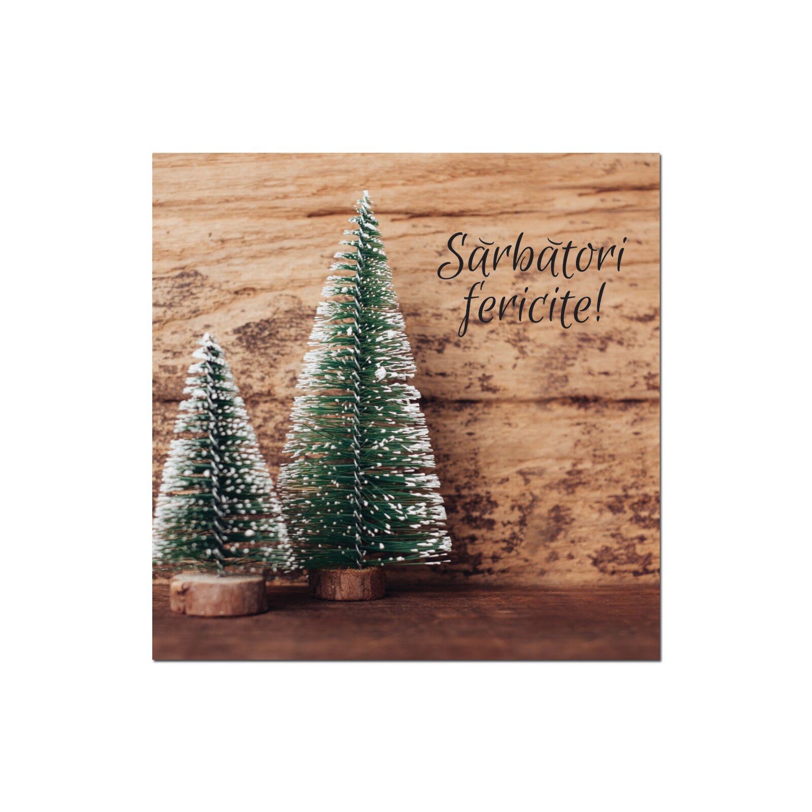 Felicitare Craciun decor rustic braduti 13x13 cm cu plic verde - eMAG.ro