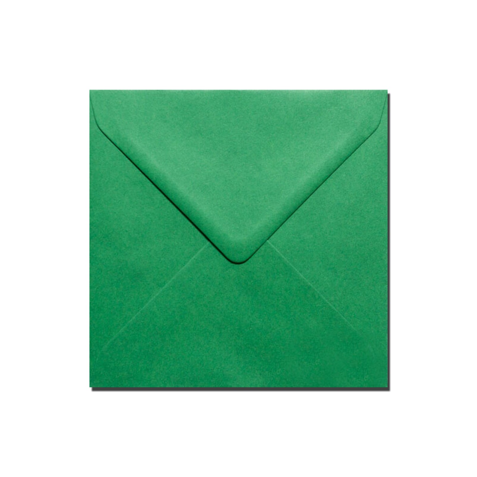 Felicitare Craciun decor rustic braduti 13x13 cm cu plic verde - eMAG.ro