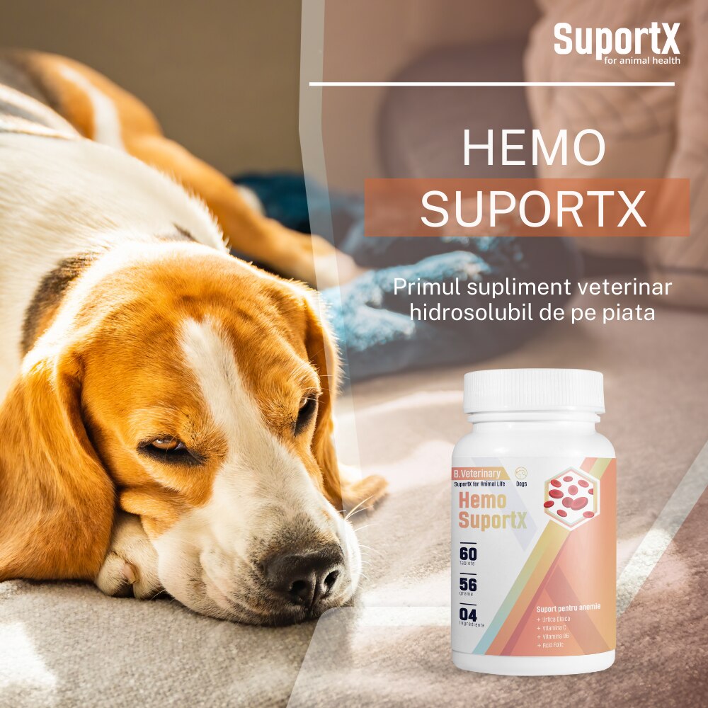 Pachet 2+1 Hemo SuportX - supliment veterinar revolutionar indicat in ...