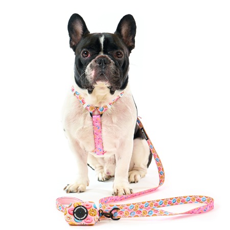 Set 3 piese, ham ajustabil, lesa, accesoriu pungi pentru catei, Donut ...