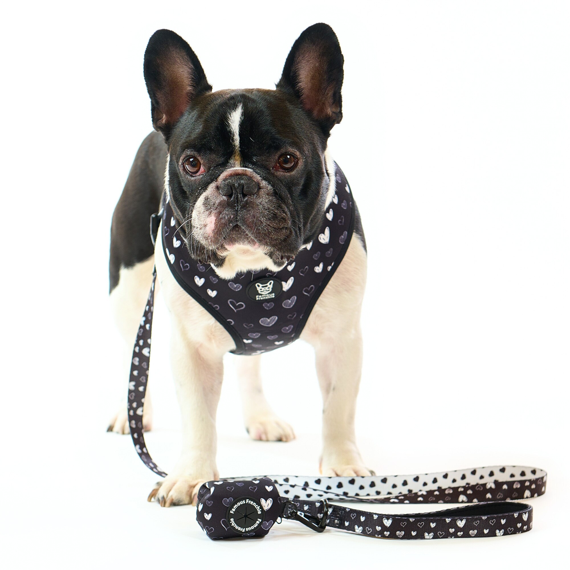 Set 3 piese, ham reversibil, lesa, accesoriu pungi pentru catei, Black ...