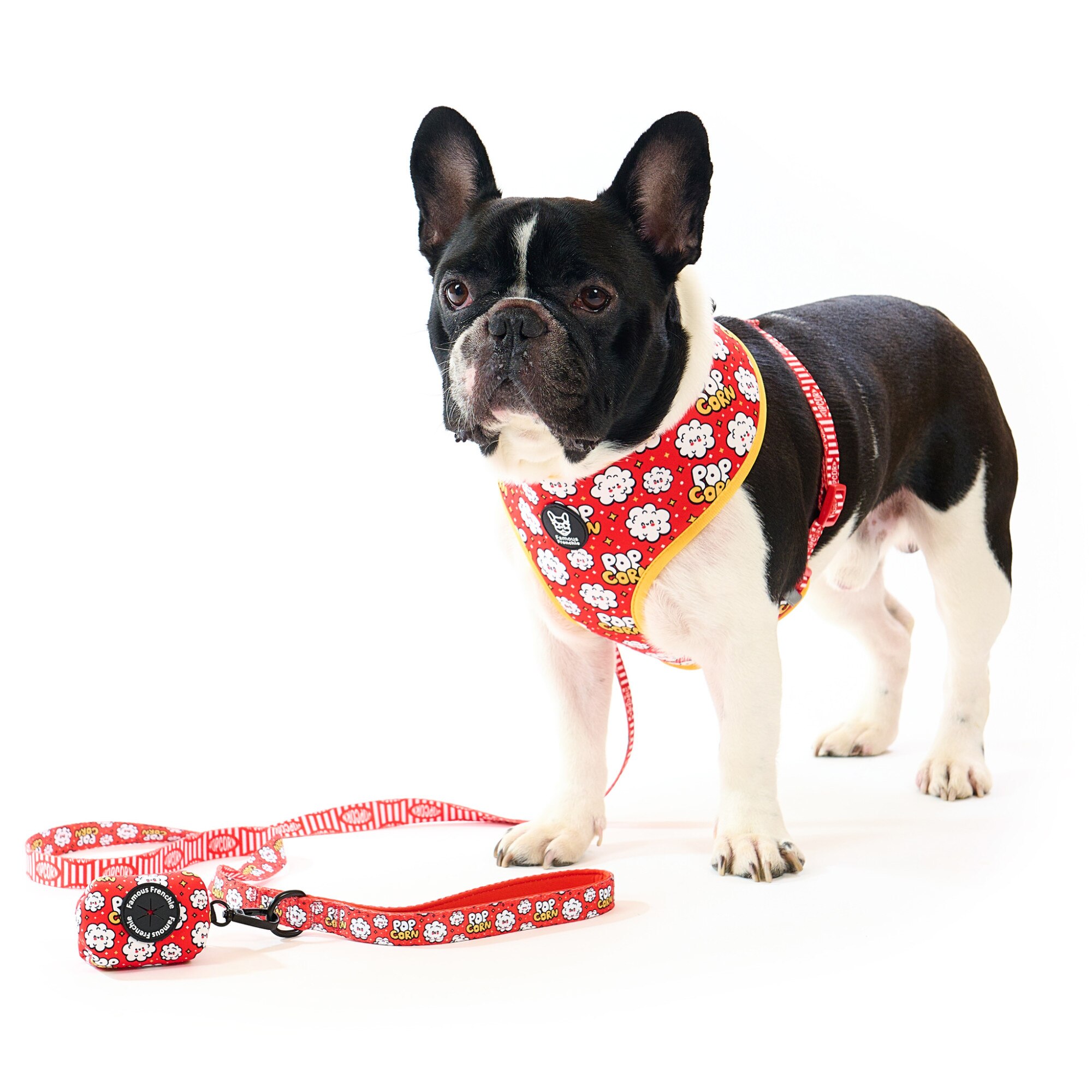 Set 3 piese, ham reversibil, lesa, accesoriu pungi pentru catei ...