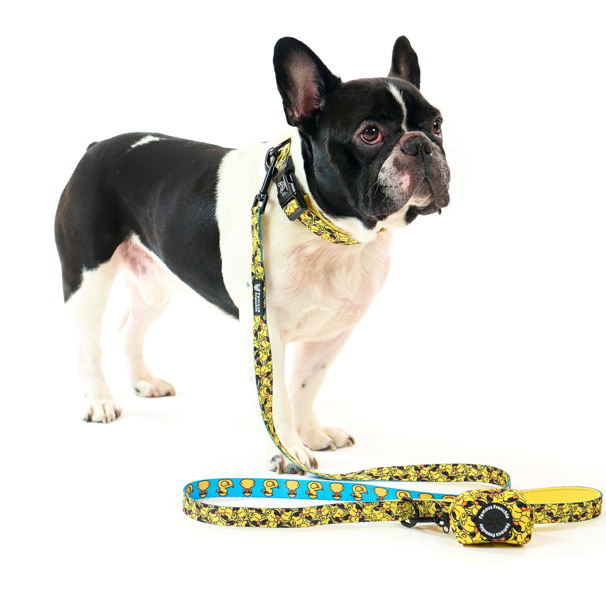 Accesoriu pungi pentru catei, Famous Frenchie, Yellow Duck Mafia - eMAG.ro